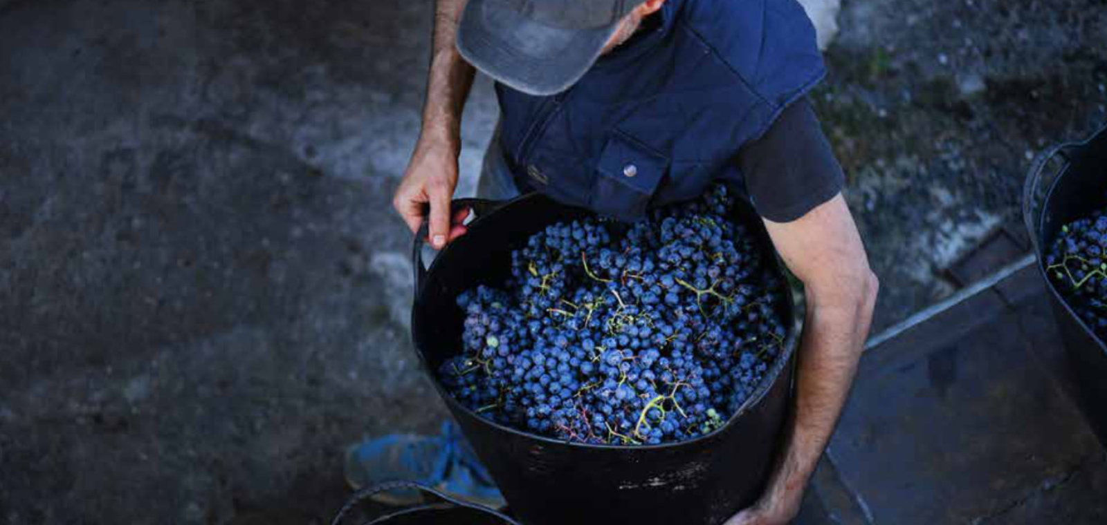 Winemaking Philosophy - La Genisia